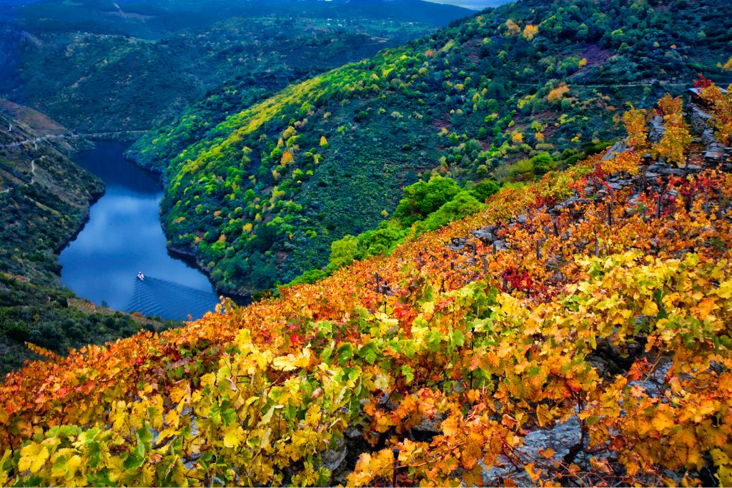 Escapada a la Ribeira Sacra, uno de los mayores tesoros viajeros de Galicia