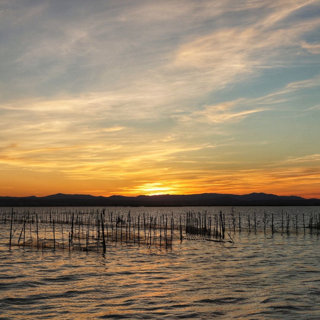 L’Albufera, el secreto mejor guardado a un paso de Valencia